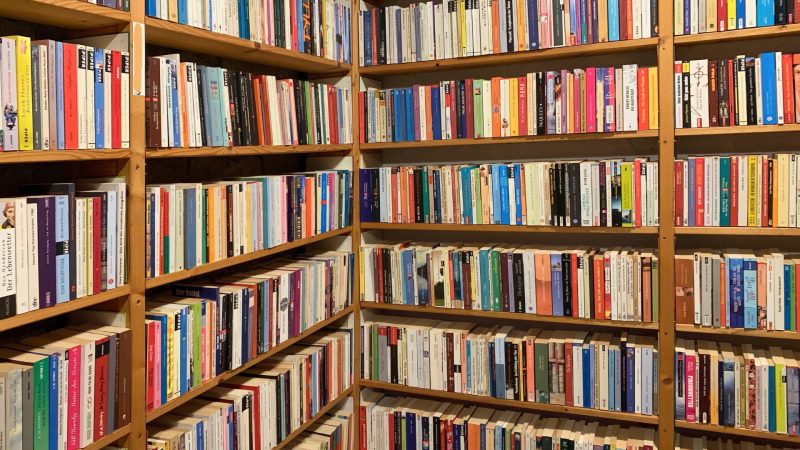 Tips for Styling Your Bookshelf Like a Pro - Shark Printables